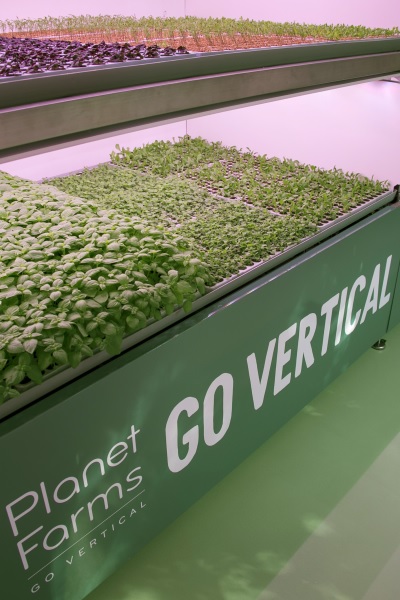Planet Farms, agricoltura verticale “made in Italy”